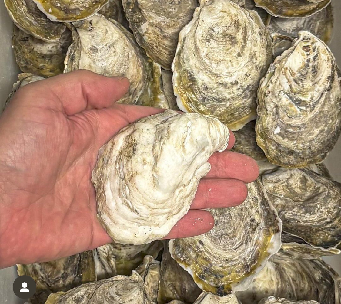Oyster Tasting, Merroir: Fitler Square | Fishtown Seafood